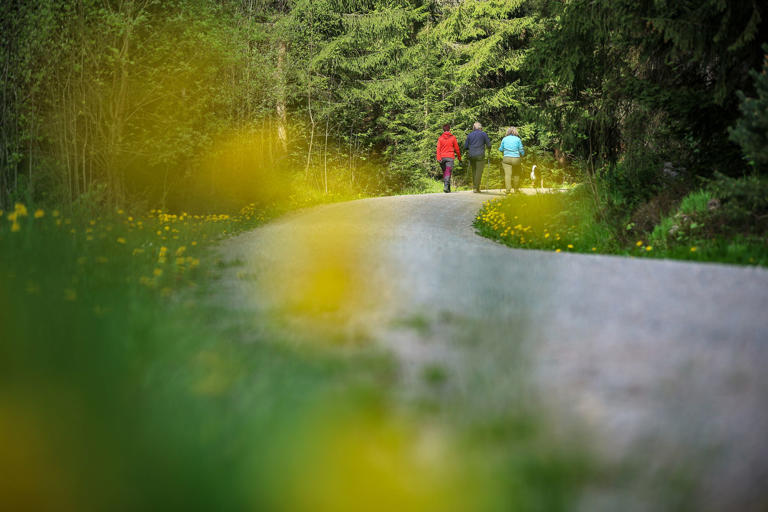 Reichenbach ist 2027 Gastgeber des Sächsischen Wandertages