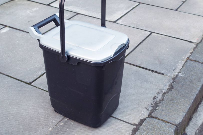 Binman urges all UK households to never put food waste in 1 area or ...