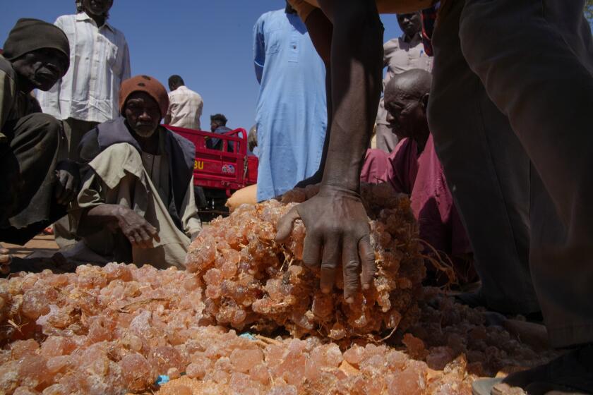 The secret ingredient tying your candy, makeup and medicines to Sudan's war