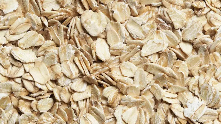 8 budget-friendly meals that taste great without costing much