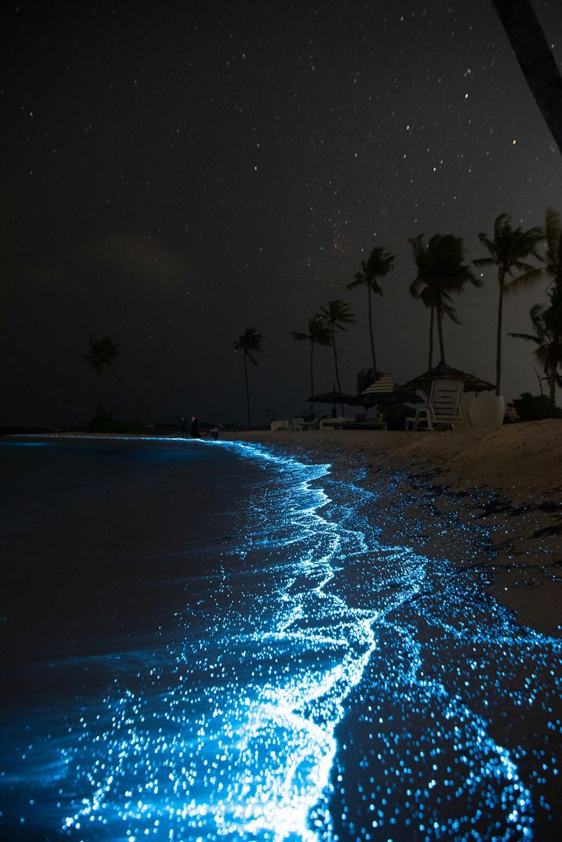20 extraordinary natural phenomena