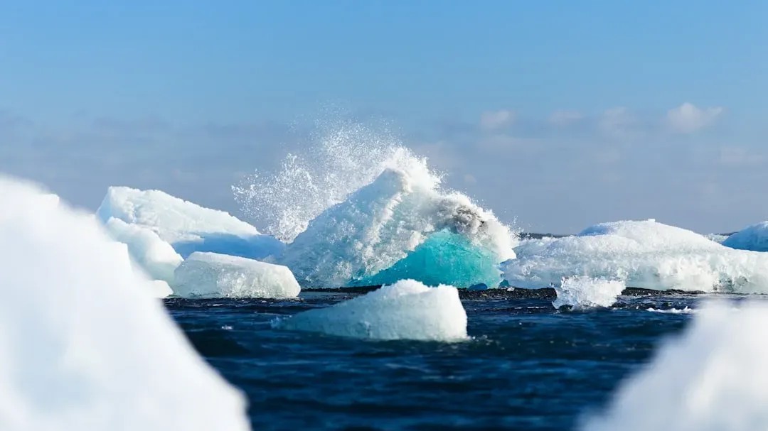 Why extreme cold snaps are threatening US wildlife