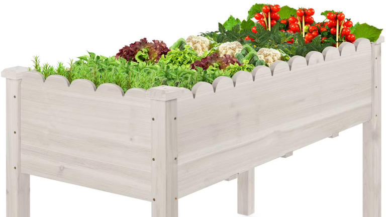 Walmart's scalloped raised garden bed allows you to grow herbs, flowers ...