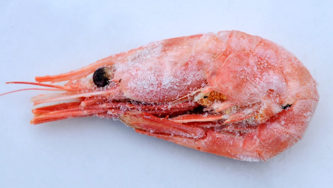Master the art of perfect shrimp every time