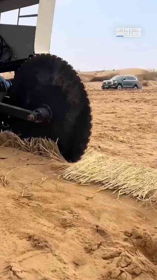 Why straw is buried in sand