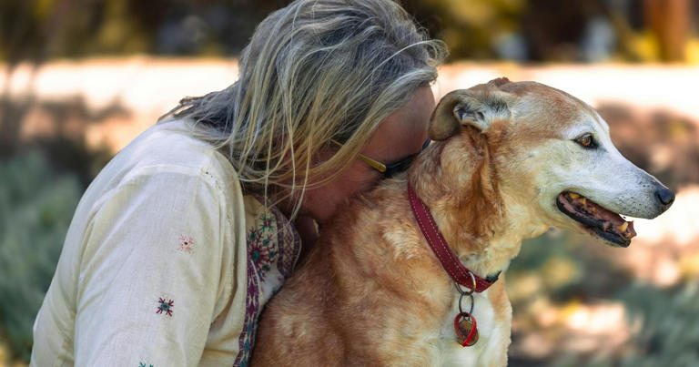 10 reasons why losing a pet can feel more devastating than you expected