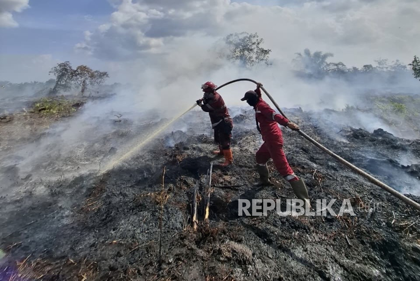 Manggala Agni berjibaku padamkan kebakaran hutan 60 hektare di Riau