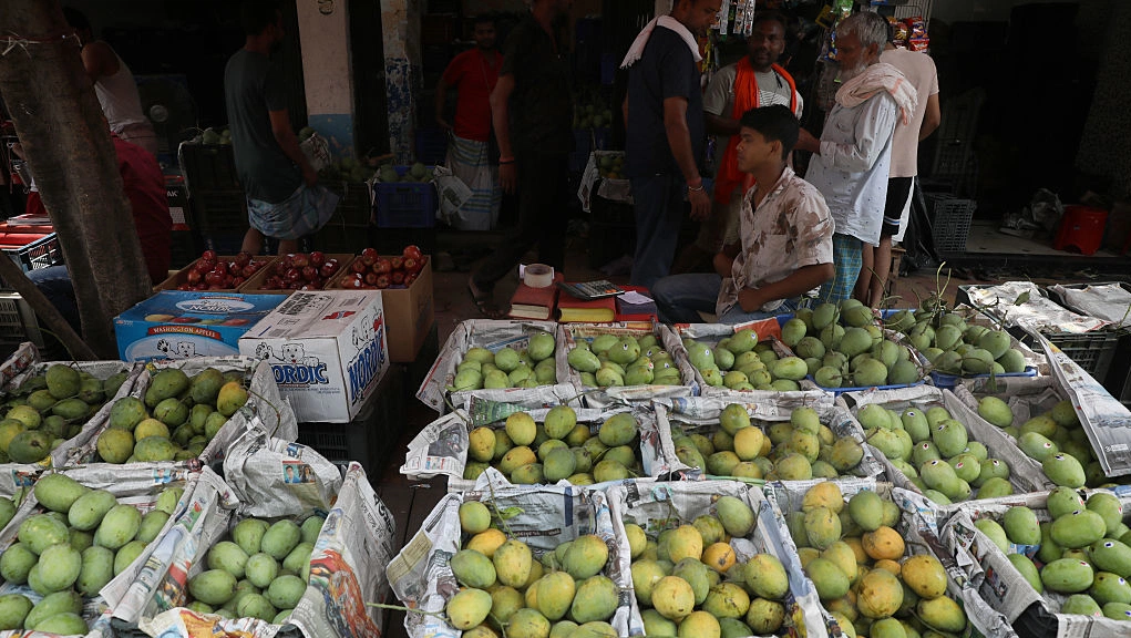 Indian Kesar mangoes debut at Costco stores in New Jersey