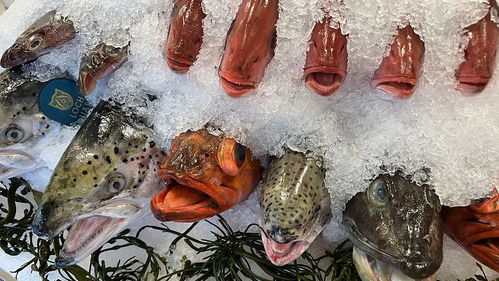 Master the art of cooking fish at home