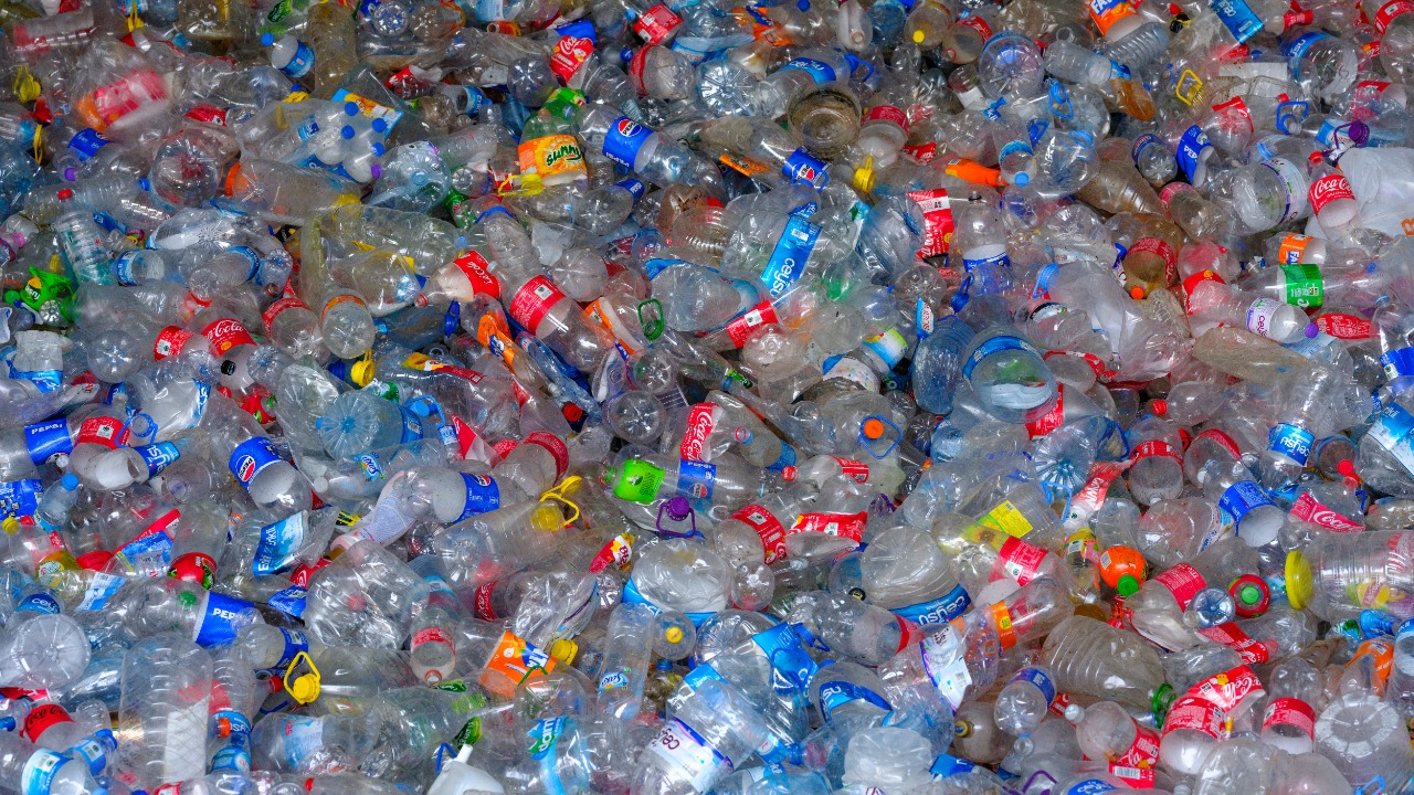 Researchers just built a plastic-eating bacterium that turns waste ...