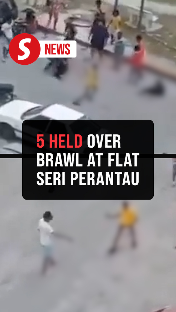 Five men remanded over Port Klang fight