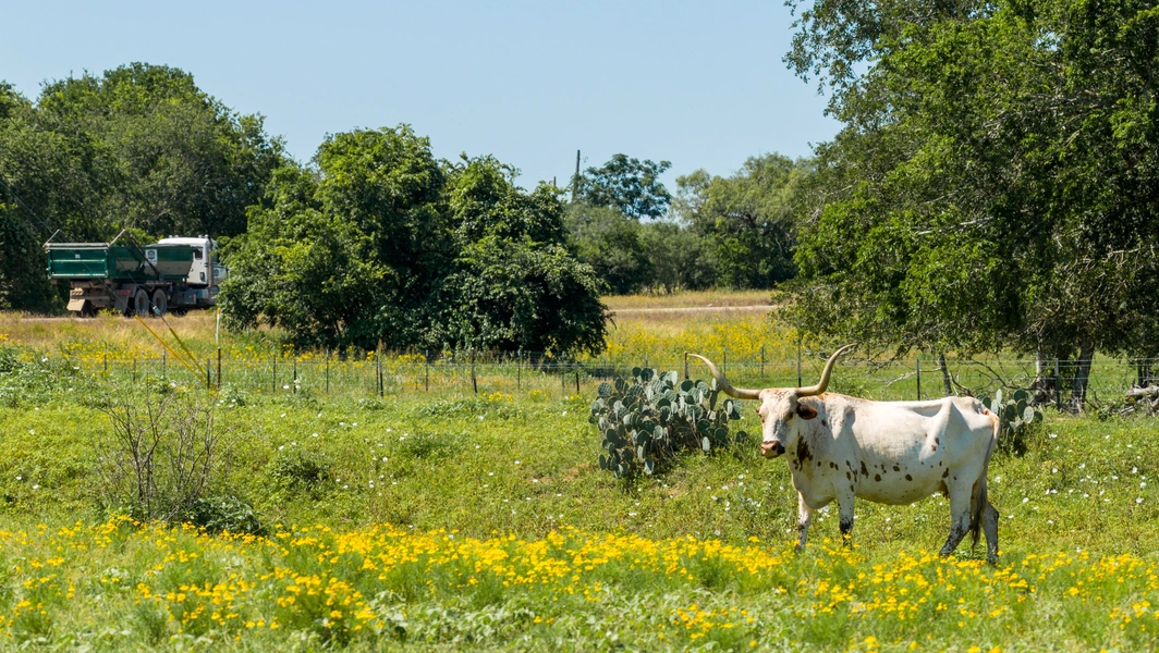 RFK Jr. challenged over claim beef prices fell as USDA shows surge