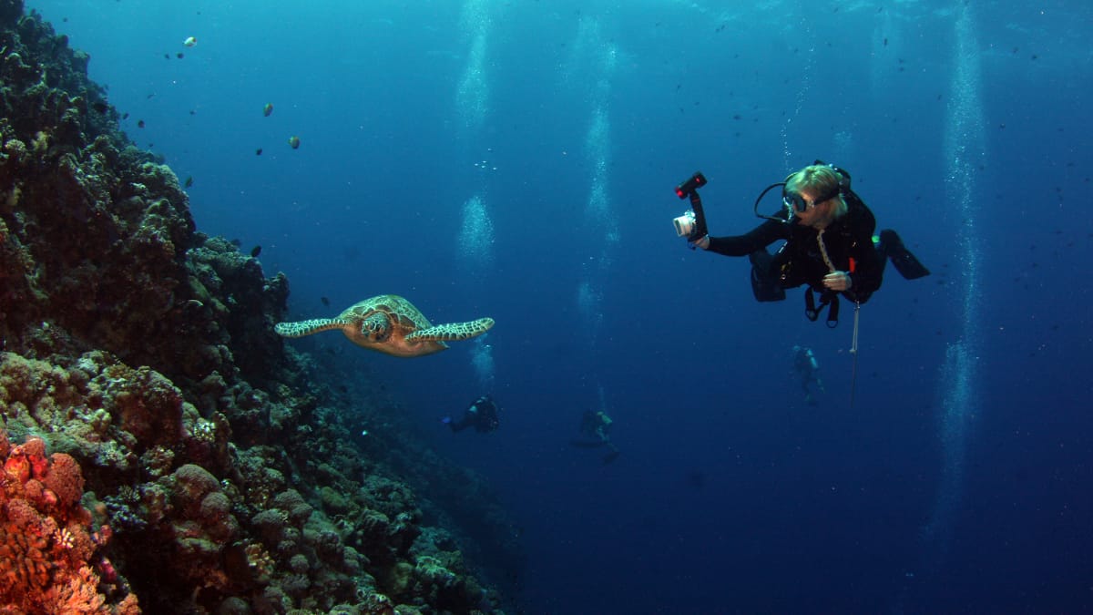 4 most amazing scuba diving destinations in India every ocean lover ...