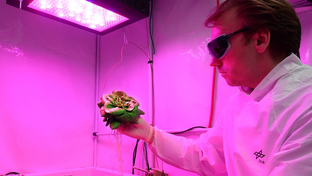 Scientists find fungi that could make Martian soil fertile