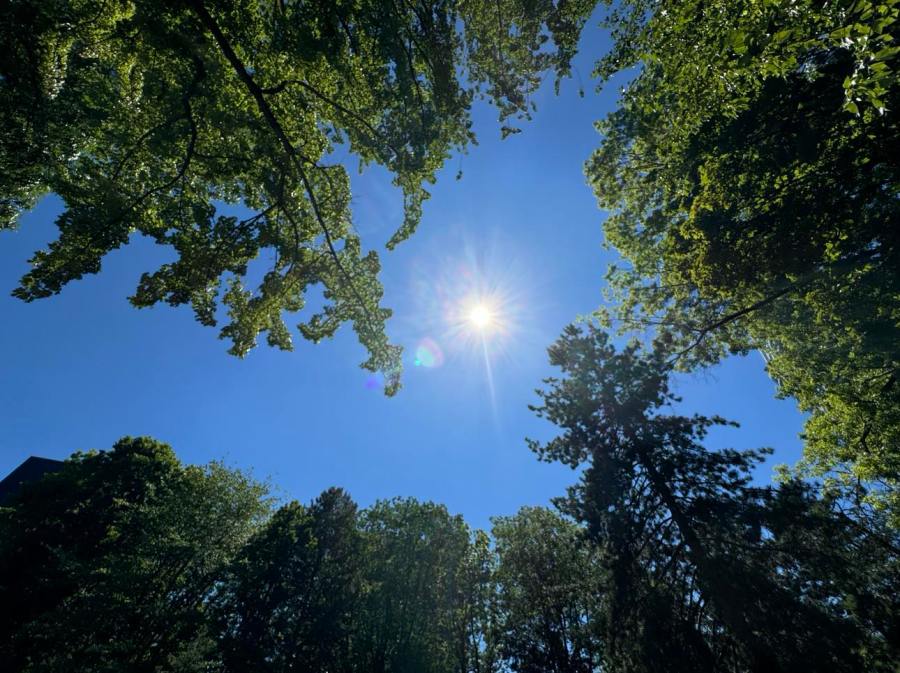 Sunny Sunday on tap, summer-like heat returns next week