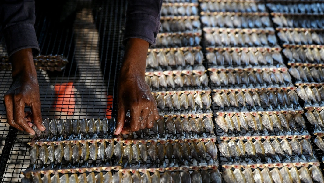 Master the art of cooking fish at home