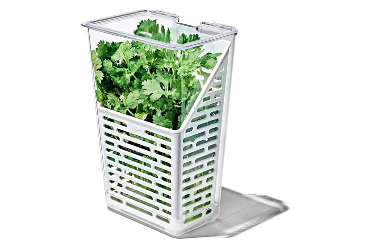 Goodbye, slimy cilantro: This clever gadget keeps herbs fresh for weeks