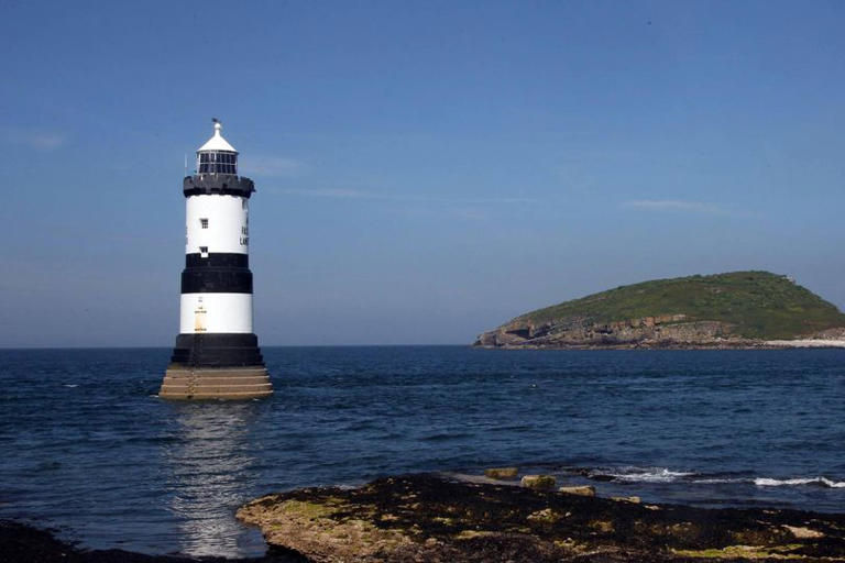 The 35-year battle to eradicate 500,000 rats from a Welsh island