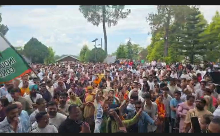 Himachal civic body elections results: BJP wins in Mandi, Dharamsala ...