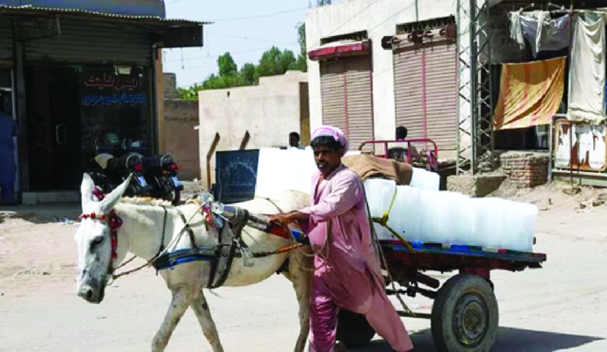 Pak's Dadu records 51.5 degree Celsius, new high in Sindh