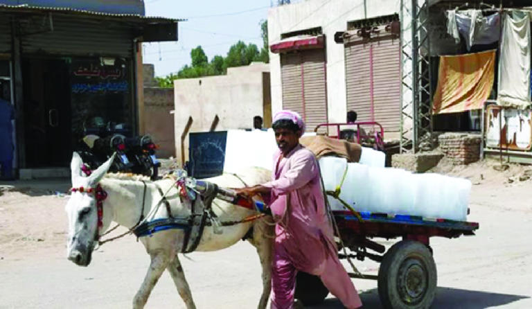 Pak's Dadu records 51.5 degree Celsius, new high in Sindh