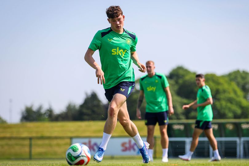 Republic of Ireland youngster might have upset some family members with ...