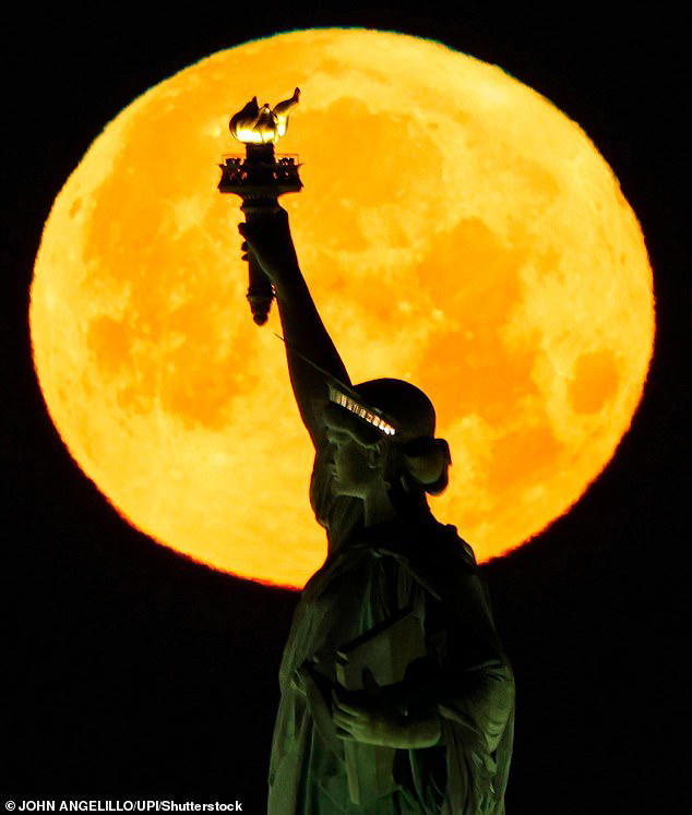 Did you see the blue moon? Rare phenomenon will light up our night sky ...