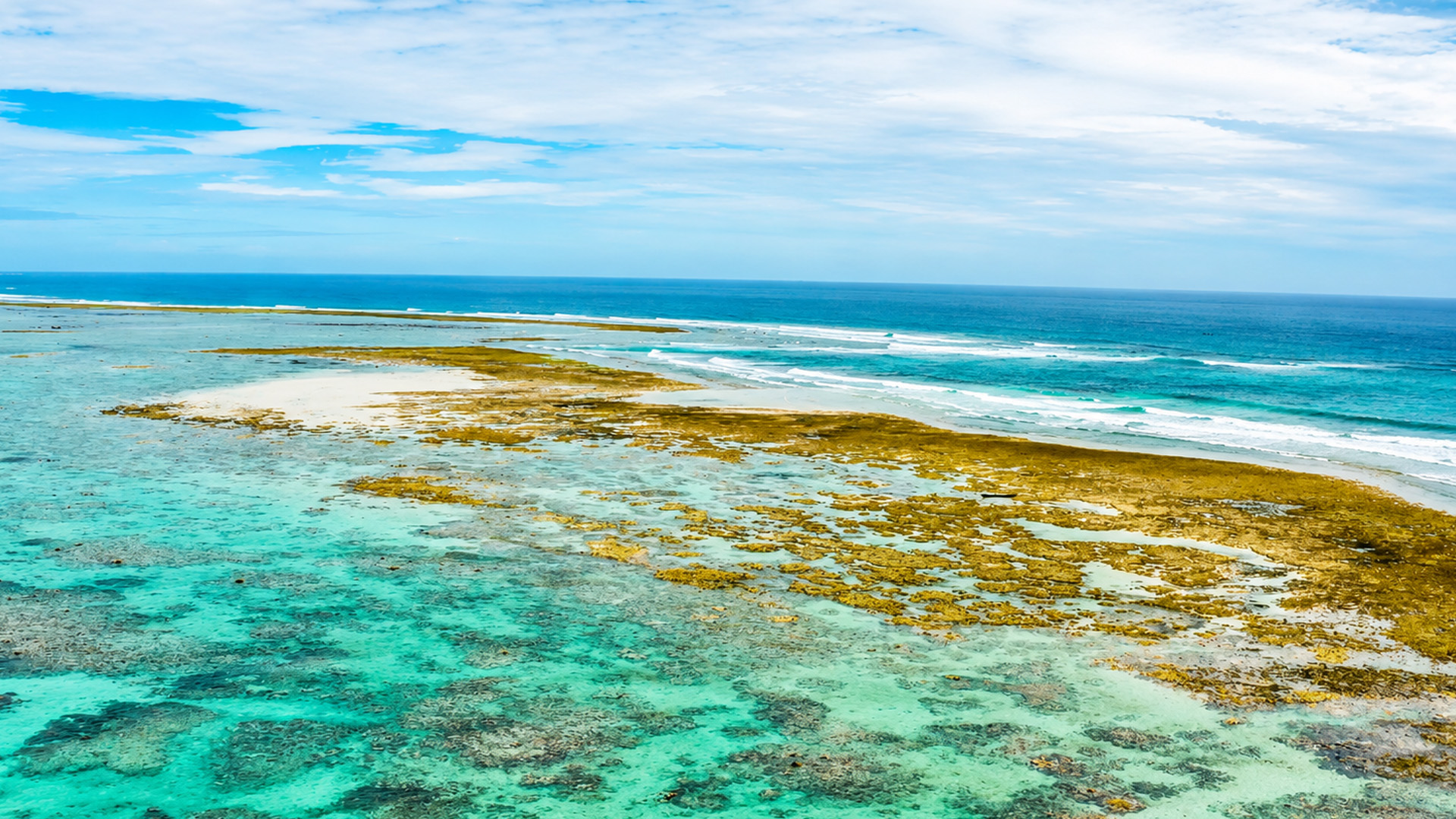 Why does this coast look so different?