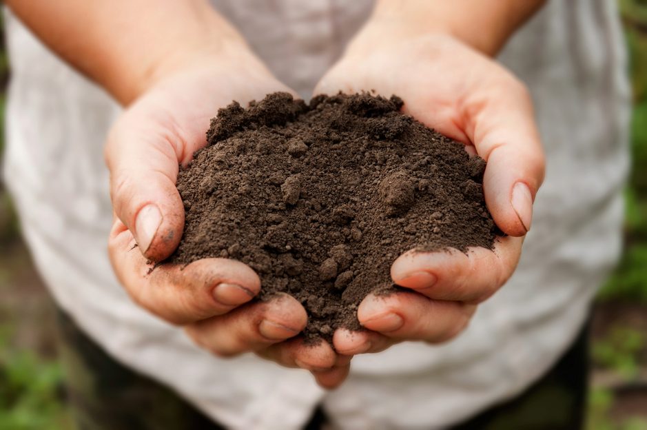 A global food crisis is nearing – and the warning signs are buried ...