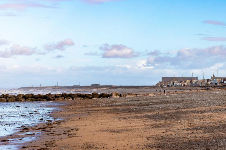 Woman dies after couple try to rescue pet dog from sea