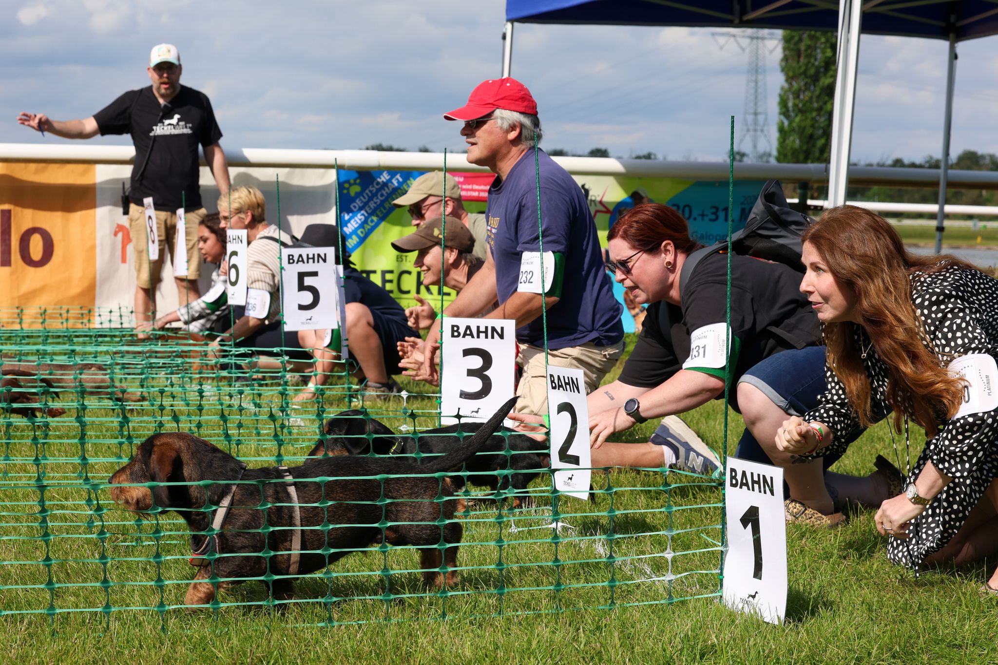 Mehr als 250 Dackel sprinten bei Meisterschaft in Magdeburg