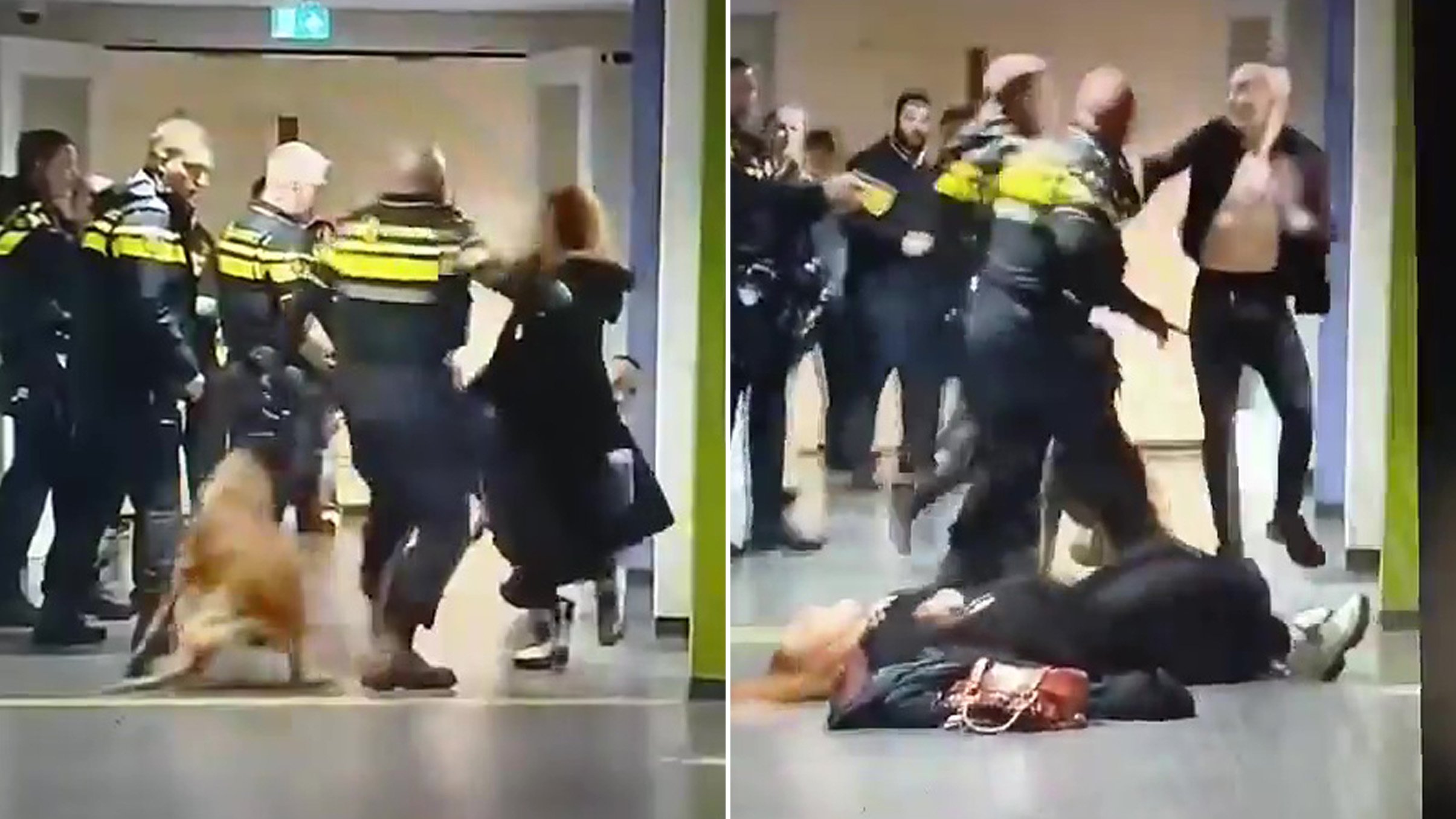 Police grab pregnant woman by the hair and drag her along the floor