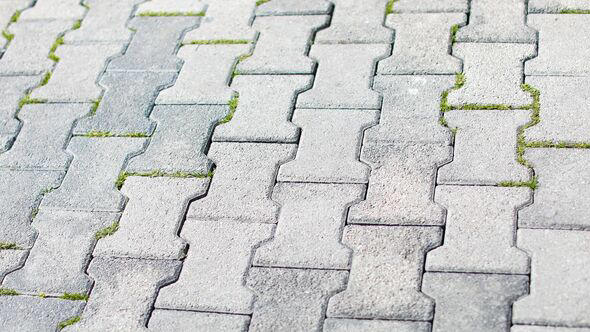 Remove moss from patio and garden furniture with 49p kitchen staple