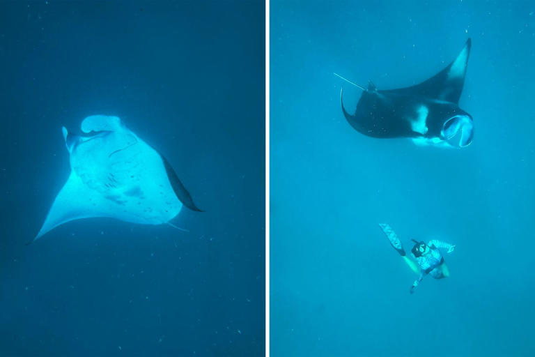 Discover manta rays and luxury at Maldives' Baa Atoll