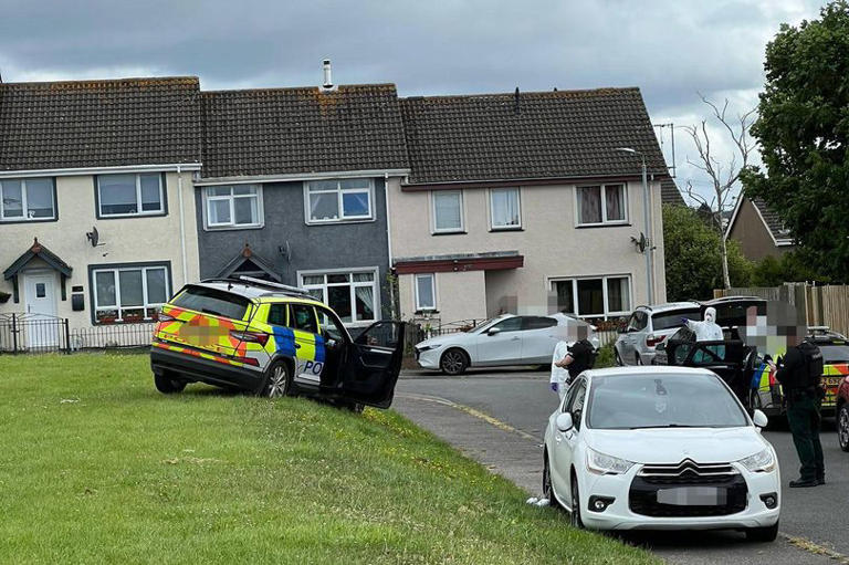 Breaking police officer seriously injured after being hit with stolen ...