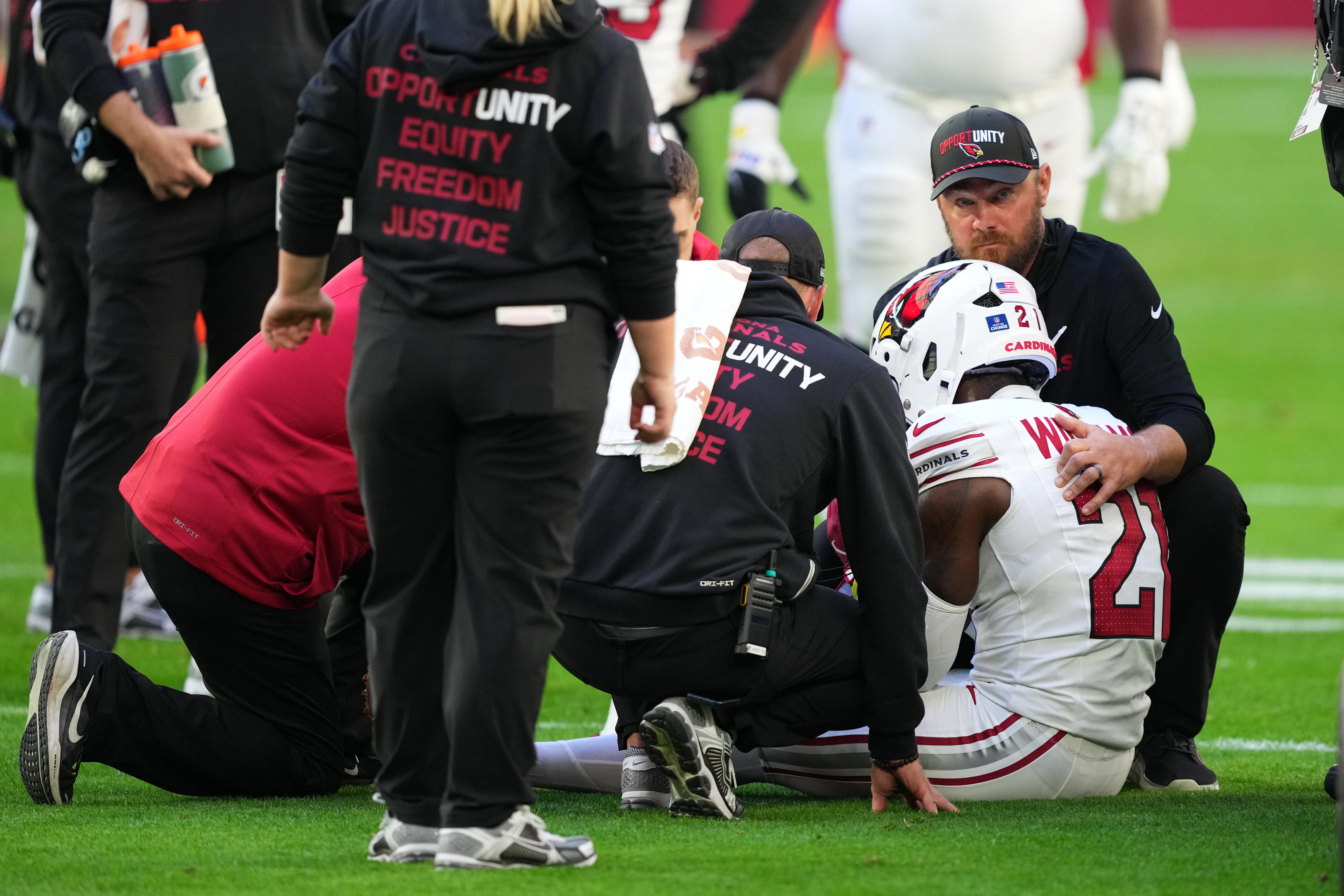 Cardinals mailbag has ownership, injury, depth chart questions
