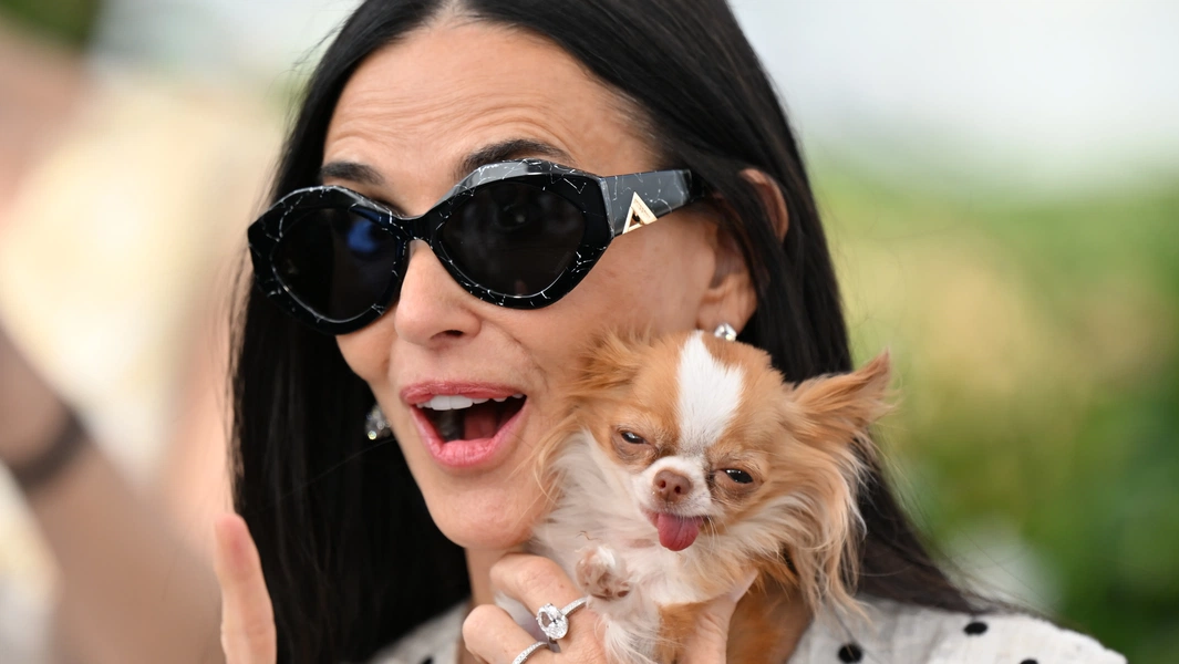 Demi Moore mourns death of beloved chihuahua Pilaf at age five