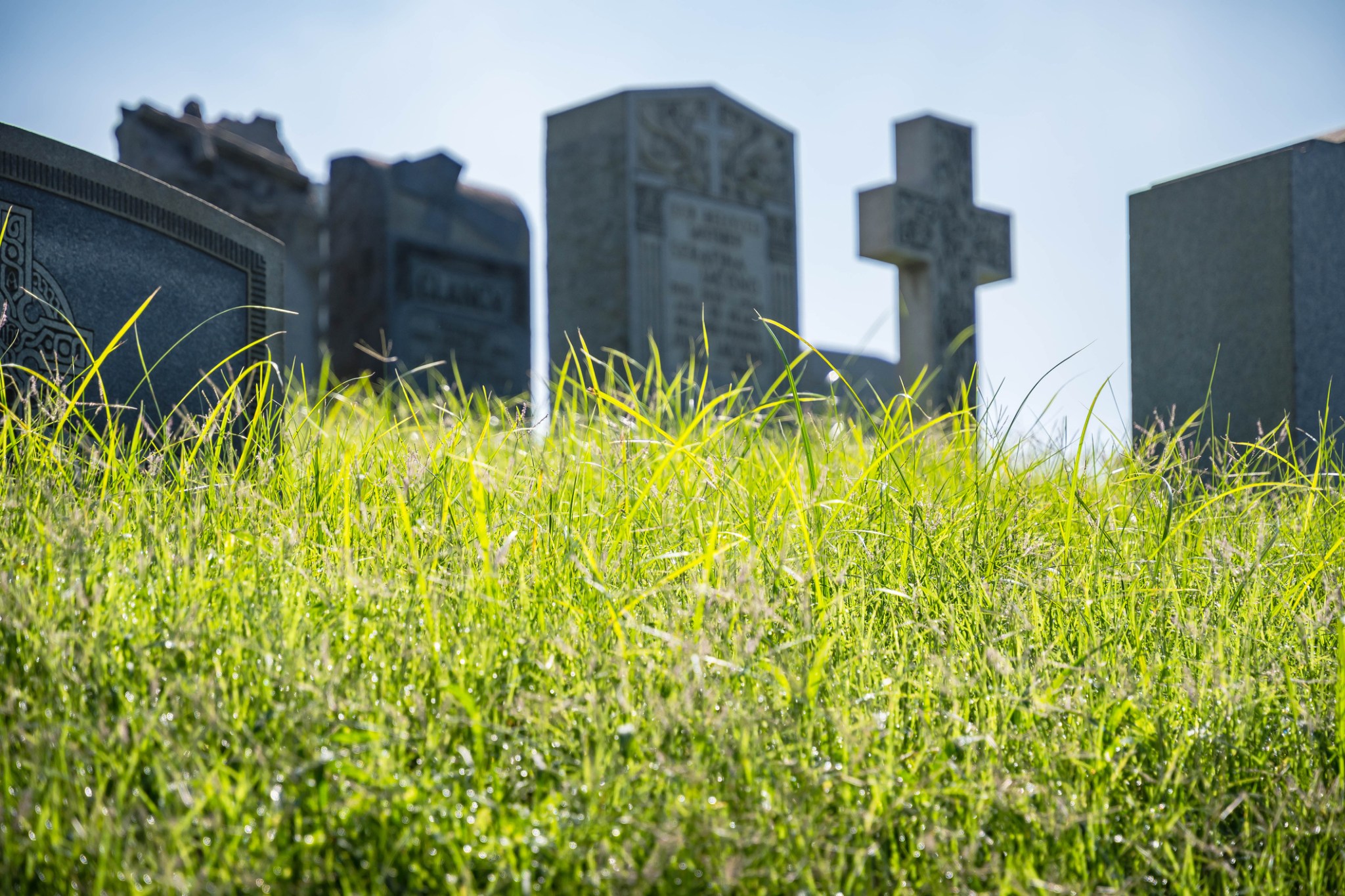 Family can't find grandma's grave—horror at what they discover buried