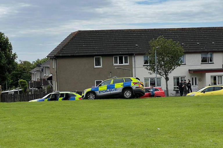 Breaking police officer seriously injured after being hit with stolen ...