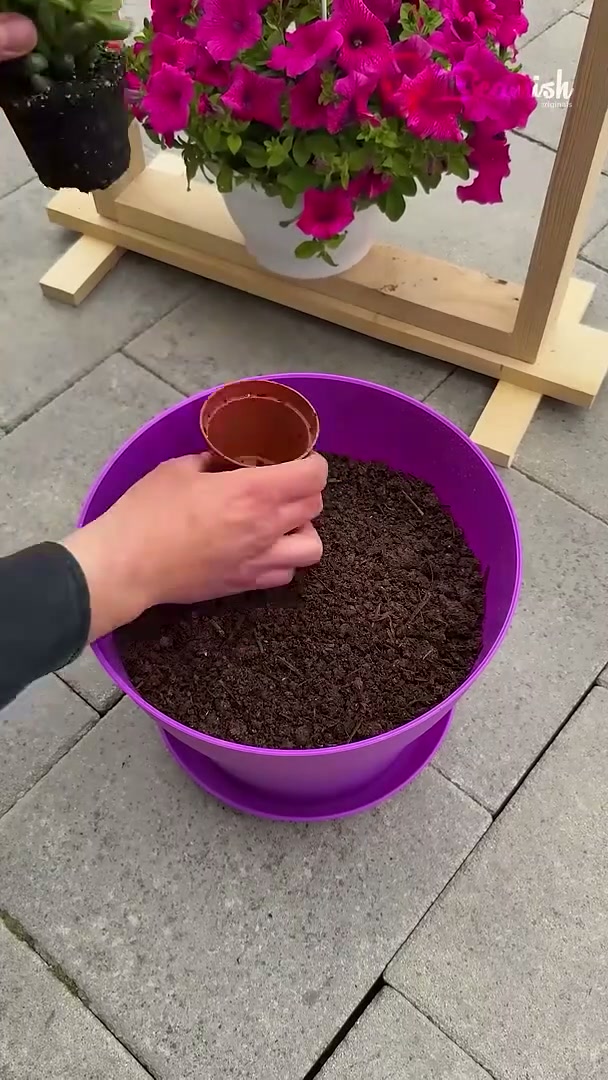 Simple plants potting method #diy #plantspot #trick