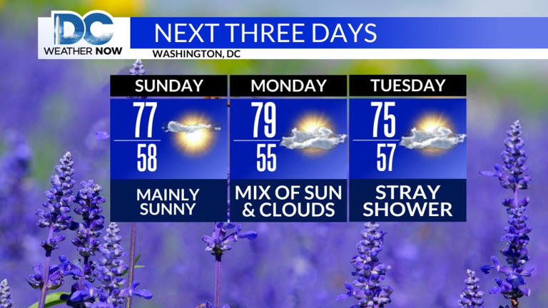 Sunny Sunday-funday, slight warm up this week