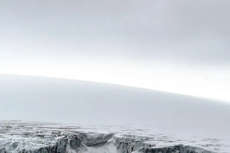 Why extreme cold snaps are threatening US wildlife