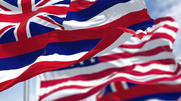 'Spiraling' Hawaii candidate charged with 'terroristic' threats after ...