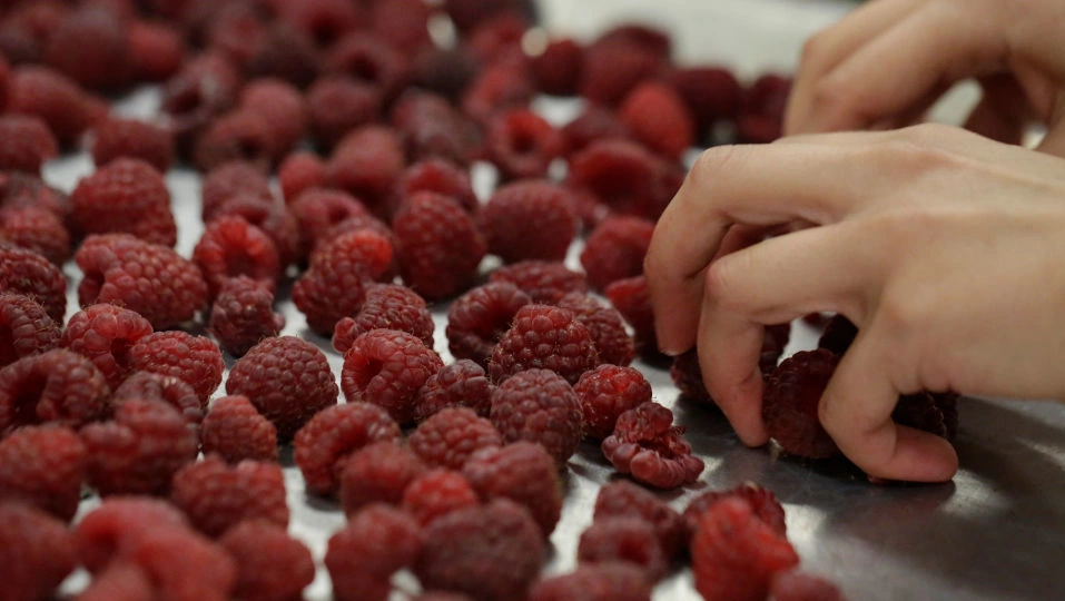 20 cool and easy no-bake summer desserts