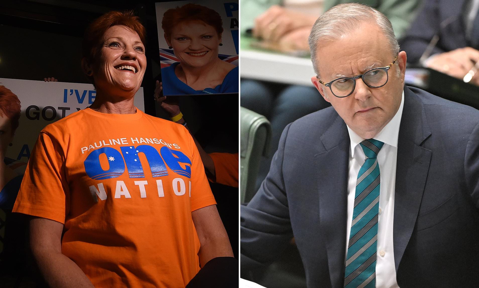 Pauline Hanson declares she could do Anthony Albanese's job