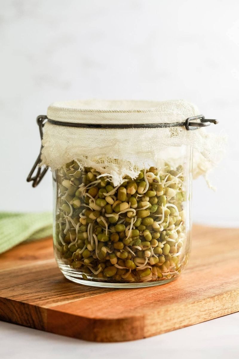 15 of the healthiest beans most people forget to eat