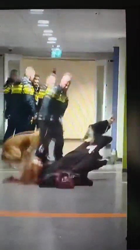 Police grab pregnant woman by the hair and drag her along the floor