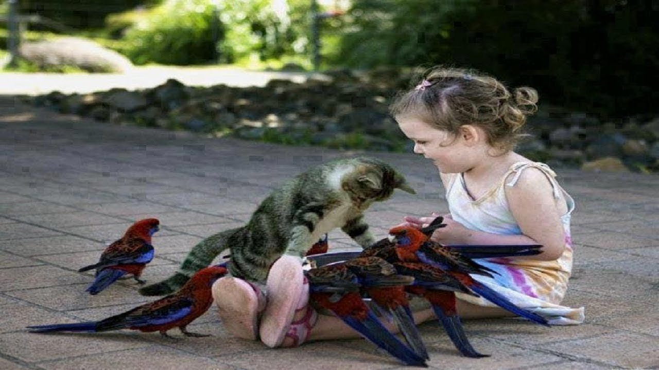 15 ferocious animals and their hilarious thoughts! #10 just cracked me ...