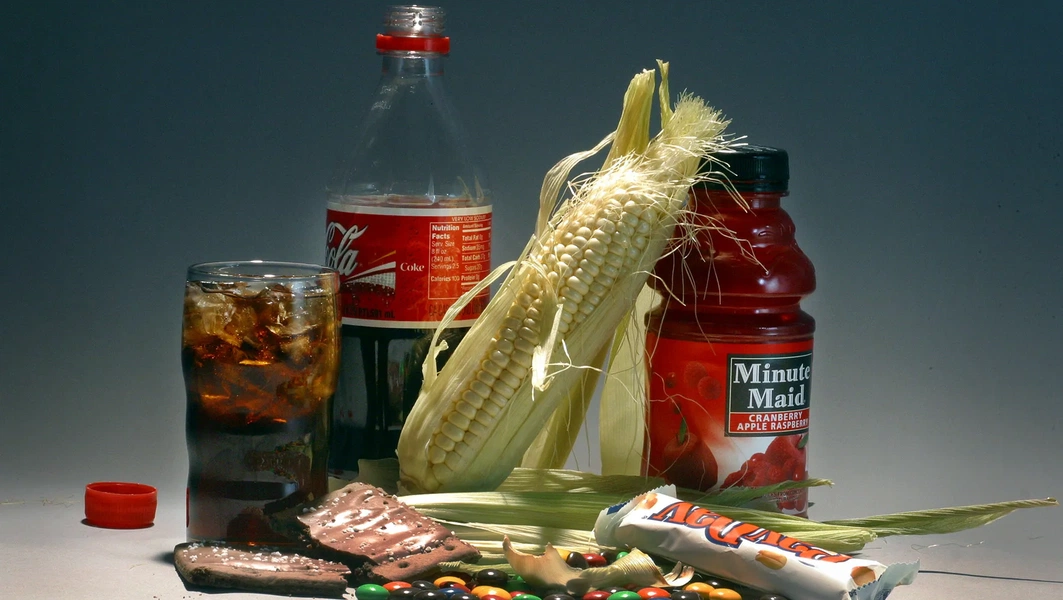 Fructose malabsorption linked to anxiety via gut–brain pathway
