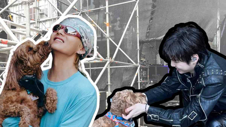 Conoce a Stoney, el 'octavo' integrante de BTS con cuatro patas que les ...